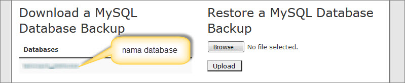 Cara Backup WordPress secara Manual dan Otomatis – Mudah Belajar Blog WordPress